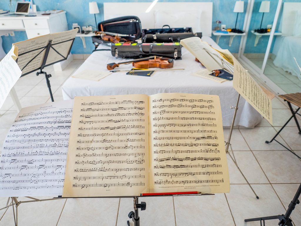 9ο ΦΕΣΤΙΒΑΛ ΜΟΥΣΙΚΗΣ ΔΩΜΑΤΙΟΥ ΣΑΡΩΝΙΚΟΥ - ThessCulture