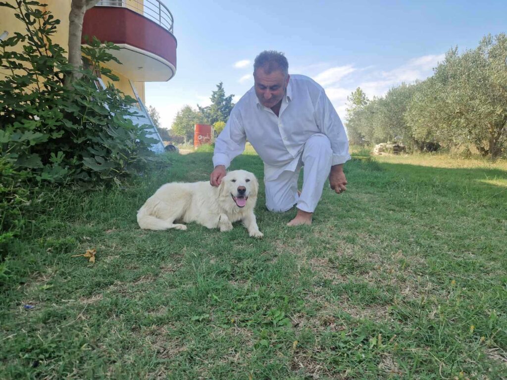 “ΜΙΑ ΝΥΧΤΑ ΜΕ ΤΟΝ ΣΚΥΛΟ ΜΟΥ” ΤΟΥ Κ.ΛΕΪΜΟΝΗ ΣΤΟ ΘΕΑΤΡΟ SUREAL - ThessCulture